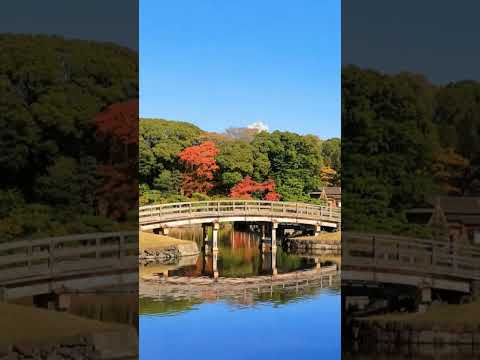 Hamarikyu Onshi Teien 浜離宮 恩賜庭園 #bridge #gate #couple – Tokyo LoFi Music