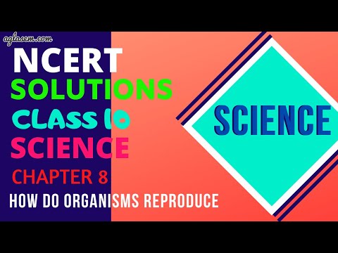 NCERT Solutions Class 10 Science Chapter 8 How Do Organisms Reproduce