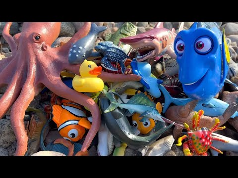River Adventure! ???? Discover Amazing Sea Animal Toys for Kids!