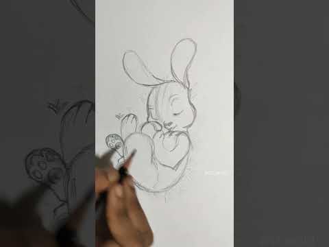 Cute Rabbit....🐇 #shorts