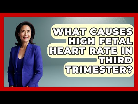 What Causes High Fetal Heart Rate In Third Trimester? - Women's Health and Harmony