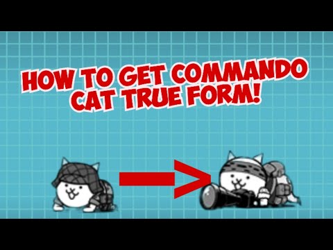 battle cats how to get cameraman cat