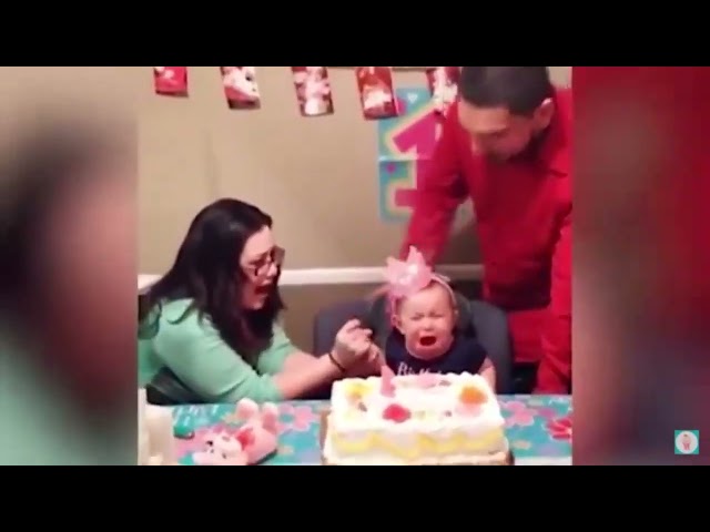A Heartwarming Compilation of Babies Interacting with Fire for the ...