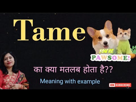 Tame meaning l meaning of tame l tame means l vocabulary