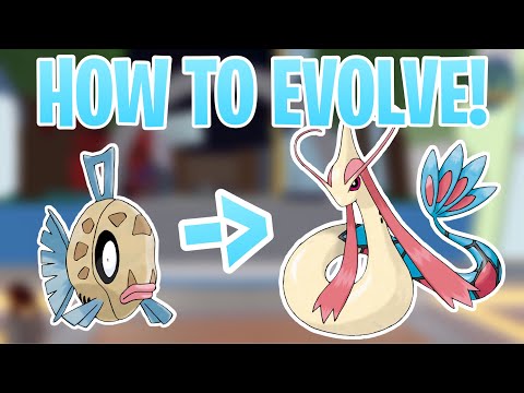 HOW TO EVOLVE FEEBAS! | ROBLOX POKEMON BRICK BRONZE