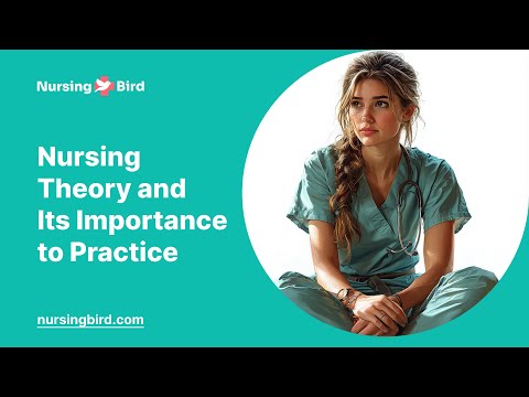 Nursing Theory and Its Importance to Practice - Essay Example