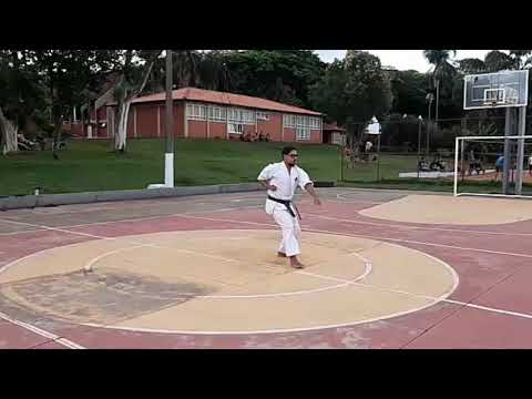 Kata Pinan Sono Ichi | Kyokushin Karate – karate: meu modo de vida