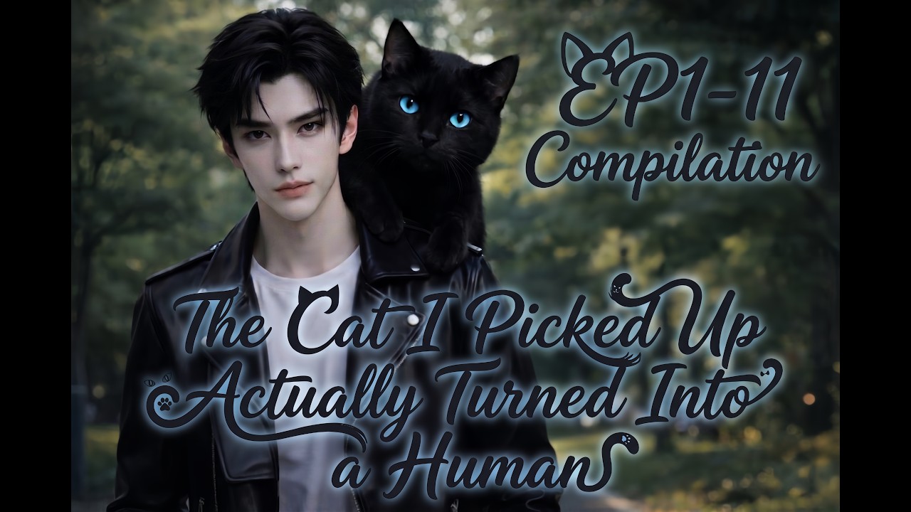 📦🐈‍⬛ From a wet cardboard box to the warmest hug and... a super sweet romance!💕EP1-11Compilation#bl