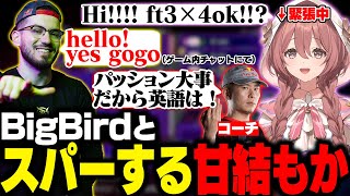[Vtub] 甘結もか vs BIG BIRD - PTT評價