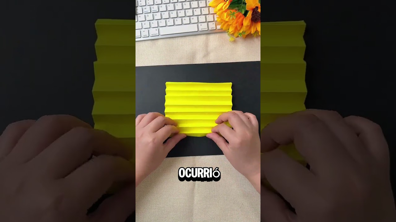 PAPER FLOWERS😱💐@MrWtF