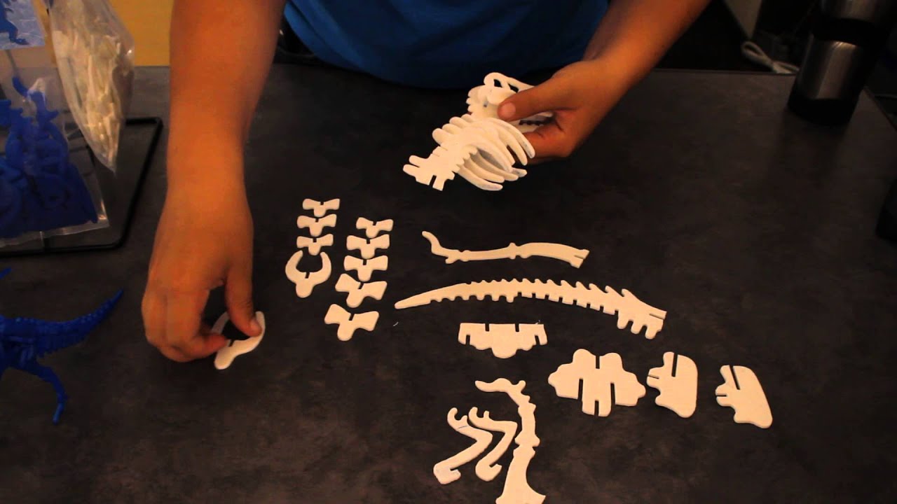 CatTech-osaurus: How to assemble a 3D printed T-Rex