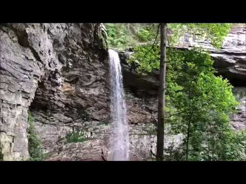 Ozone Falls – Easy Waterfall Hikes