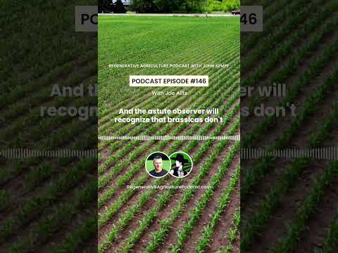 A 17-Bushel Yield Increase Thanks to BioCoat Gold