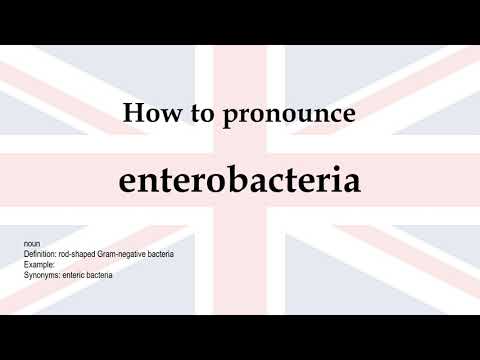 How to pronounce 'enterobacteria' + meaning