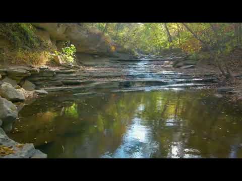 Tanyard Nature Trail - Oct 2024