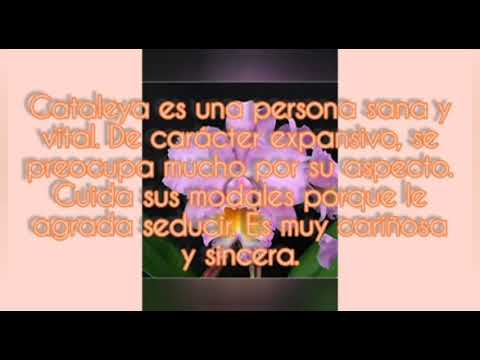 🍁SIGNIFICADO DE NOMBRE CATALEYA 🌺🌸🌺 La flor más Hermosa.