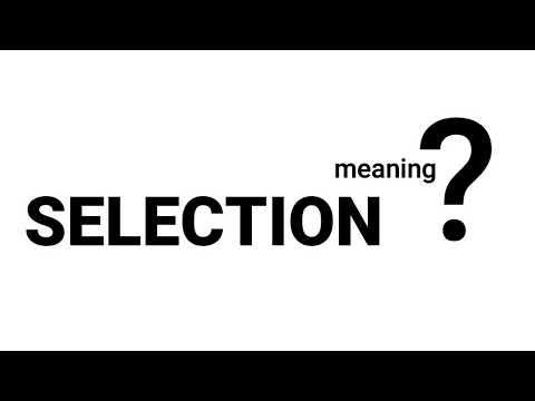 Selection Meaning Definition | EWM-English Word Meaning