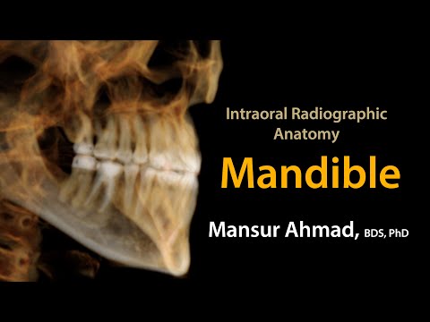 Intraoral Radiographic Anatomy Mandible