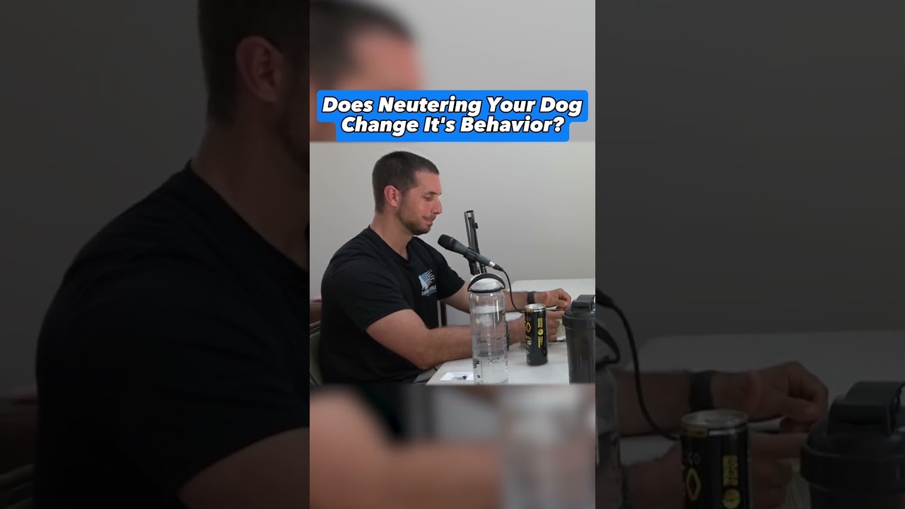 Does Neutering Your Dog Change It’s Behavior?