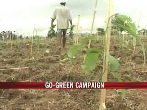 Assam village goes green, sets record