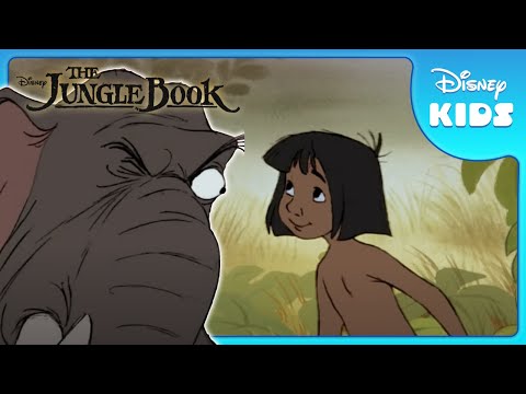 👀 Inspection Time in the Jungle! | Jungle Book | Disney Kids