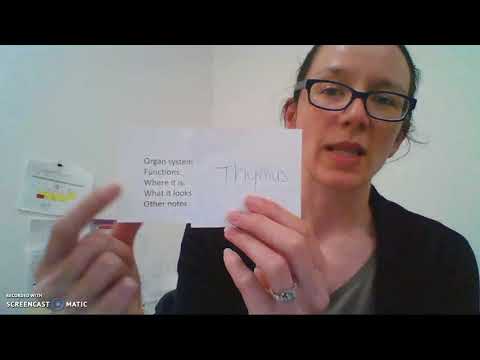 Biology flashcards