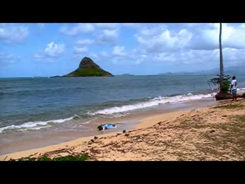 Oahu, Around the Island on Kamehameha Hwy.m2ts