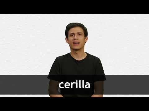 English Translation of “CERILLA” | Collins Spanish-English Dictionary