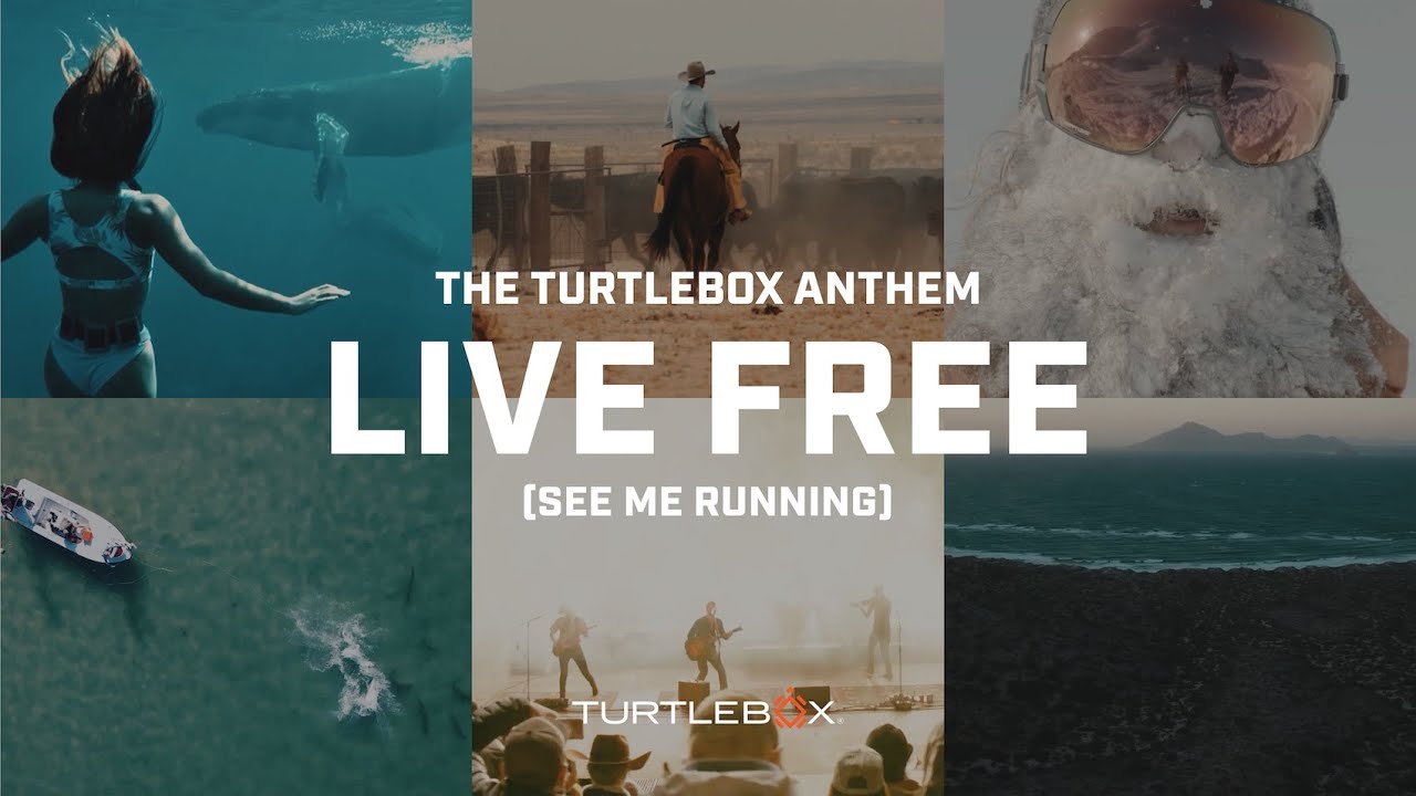 Shane Smith & The Saints - Live Free (See Me Running) - Official Music Video
