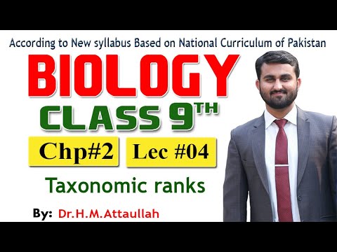 Taxonomic ranks | New Syllabus Biology 9th Class | Chapter 02 | Lecture 04