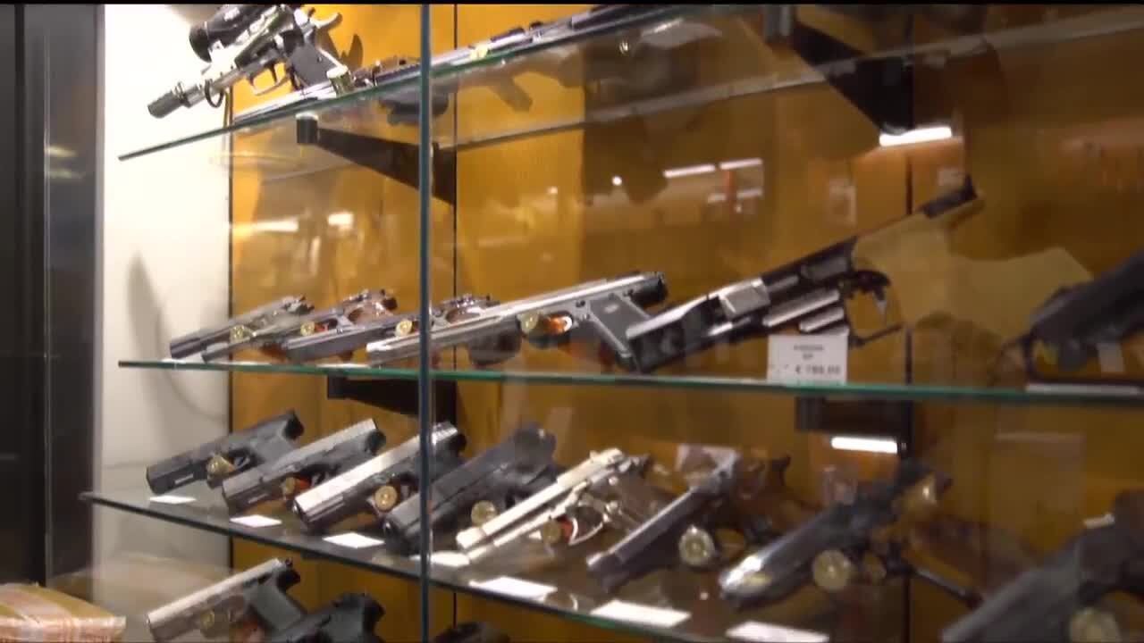 Michigan lawmakers consider repealing red flag gun laws