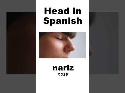 Learn Spanish - Head parts (SimpleSpanish)