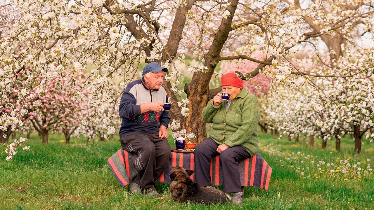 The simple life of an elderly couple in a Ukrainian village