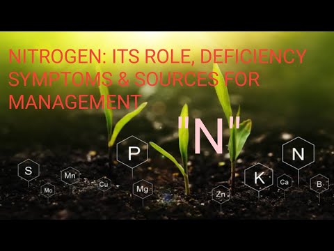 🪴 Nutrition: Nitrogen, Availability forms, Role, Deficiency symptoms & it's Sources💫