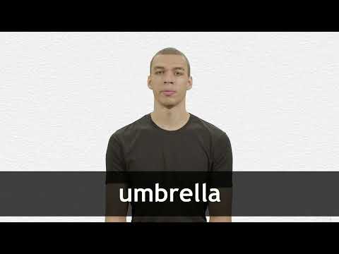 UMBRELLA - Definition & Translations | Collins English Dictionary