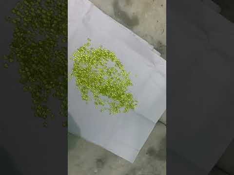 Colour Stones - Color Pearls Latest Price, Manufacturers & Suppliers