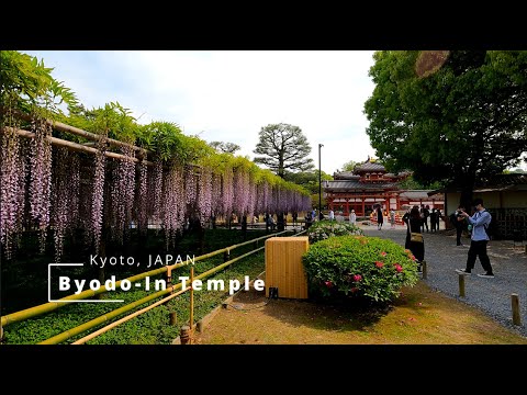 Byodo-In Temple in Uji Kyoto, Japan [4K/UHD]
