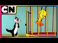 Cartoon Network Classics Watch HD Mp4 Video Download Free