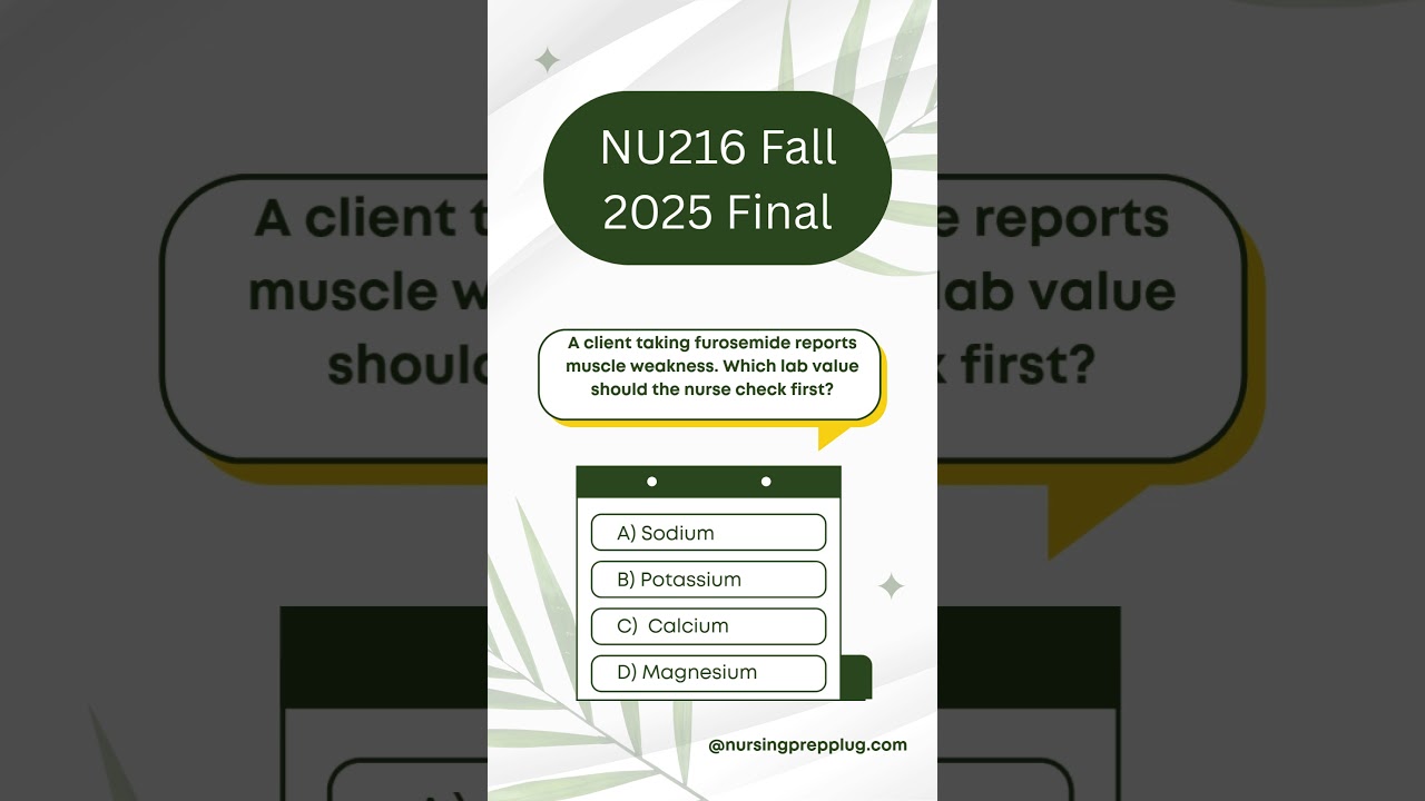 NU216 Fall 25 Final