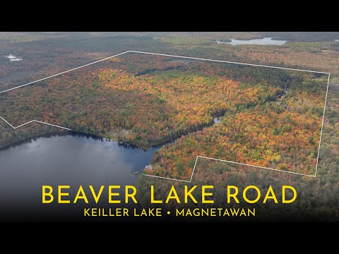 Nearly 300 Acres w 3,000ft of Shoreline on semi-private lake - Magnetawan Real Estate - Baum Team