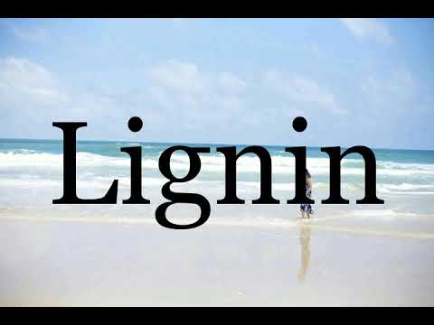 How To Pronounce Lignin🌈🌈🌈🌈🌈🌈Pronunciation Of Lignin