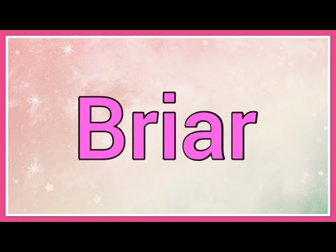 Briar | Name Origin Meaning Variations