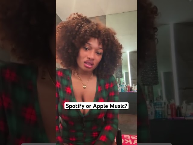 “Mad cuz her numbers are low”: Internet claps back at Megan Thee ...