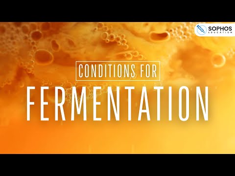 AQA only: Conditions for Fermentation