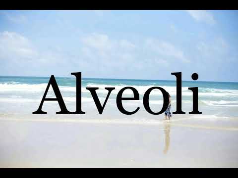 How To Pronounce Alveoli🌈🌈🌈🌈🌈🌈Pronunciation Of Alveoli