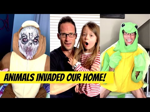 Animals invaded our house! An epic hilarious family fun adventure | with bloopers | themccartys