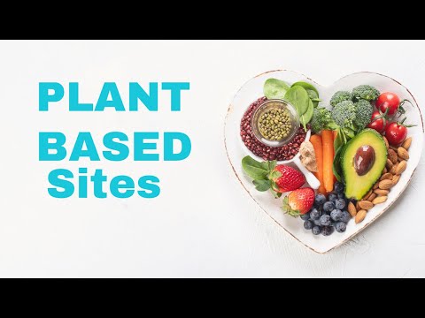 5 Plant-based food sites to find healthy and nutritious plant-based recipes