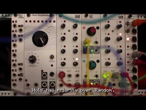 Transient Modules 8S 8-Step Sequencer Module | Reverb