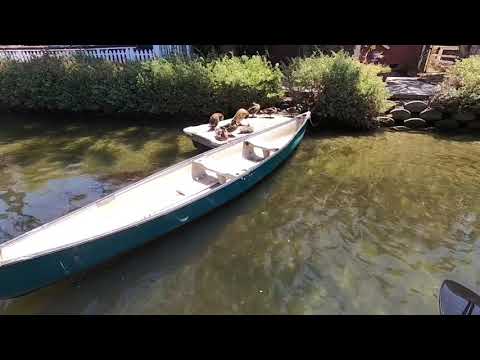 Paddle boarding in the Venice canals