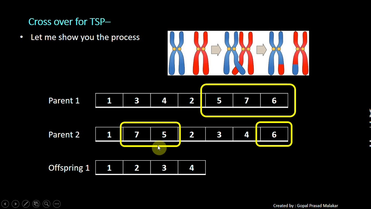 Tutorial : Introduction to Genetic Algorithm n application on Traveling Sales Man Problem (TSP)